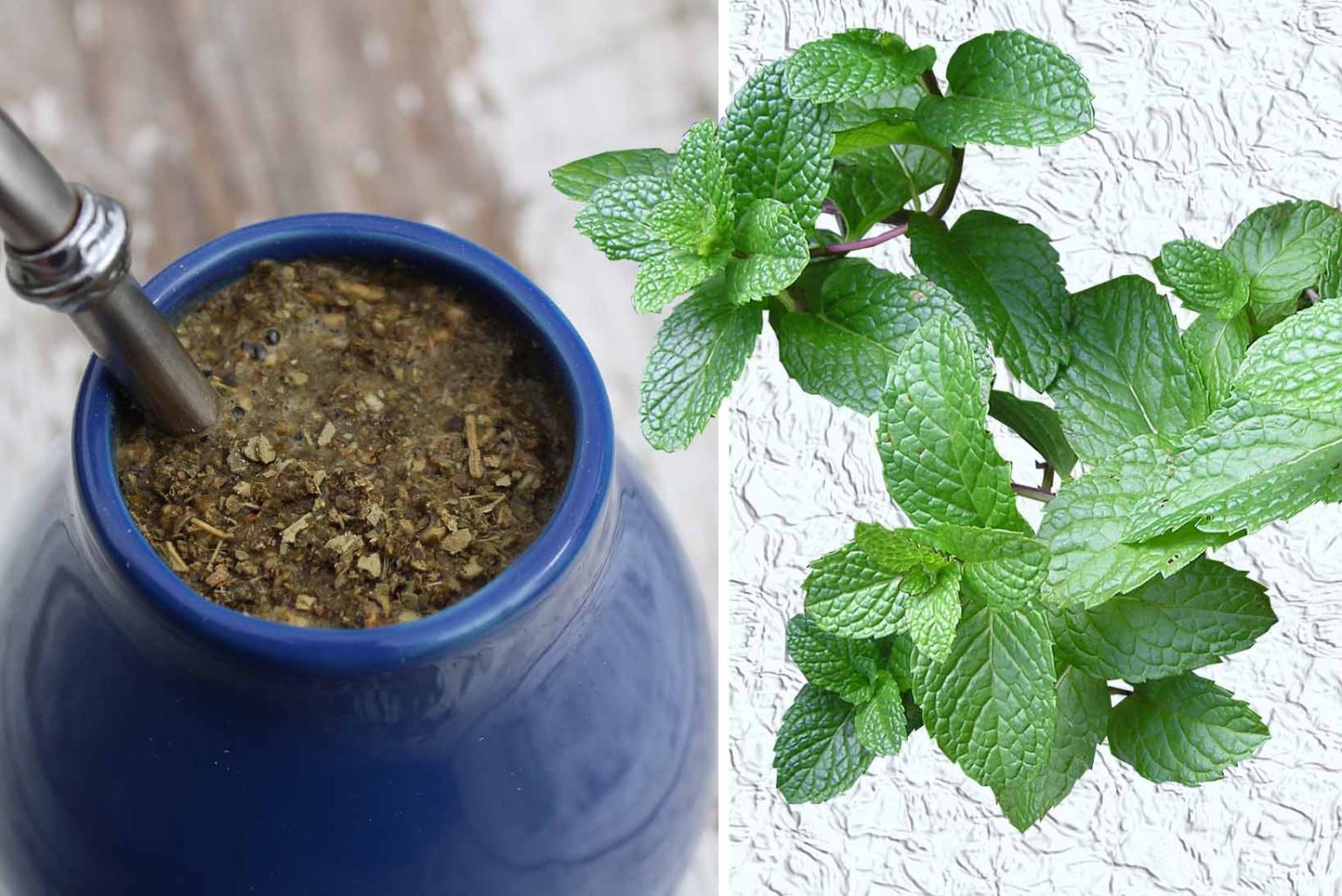 MATE CON COCO: PREPARACIÓN FÁCIL Y BENEFICIOS