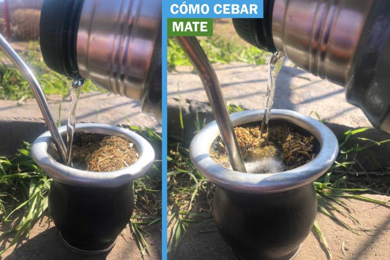 CÓMO CEBAR MATE – TODO LO QUE HAY QUE SABER