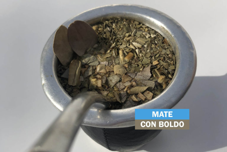 MATE CON BOLDO: PREPARACIÓN FÁCIL Y RÁPIDA