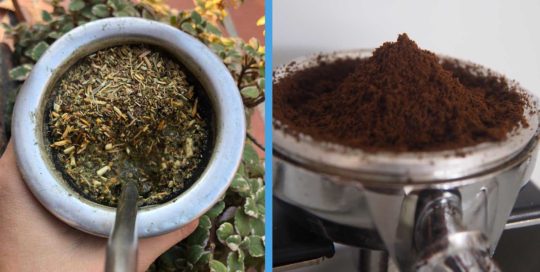 MATE DE LECHE: RECETA Y TODO LO QUE HAY QUE SABER