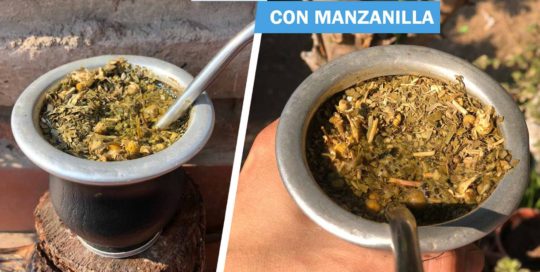 MATE CON COCO: PREPARACIÓN FÁCIL Y BENEFICIOS