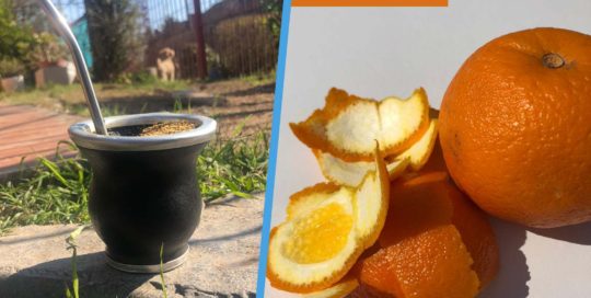 MATE DE LECHE: RECETA Y TODO LO QUE HAY QUE SABER