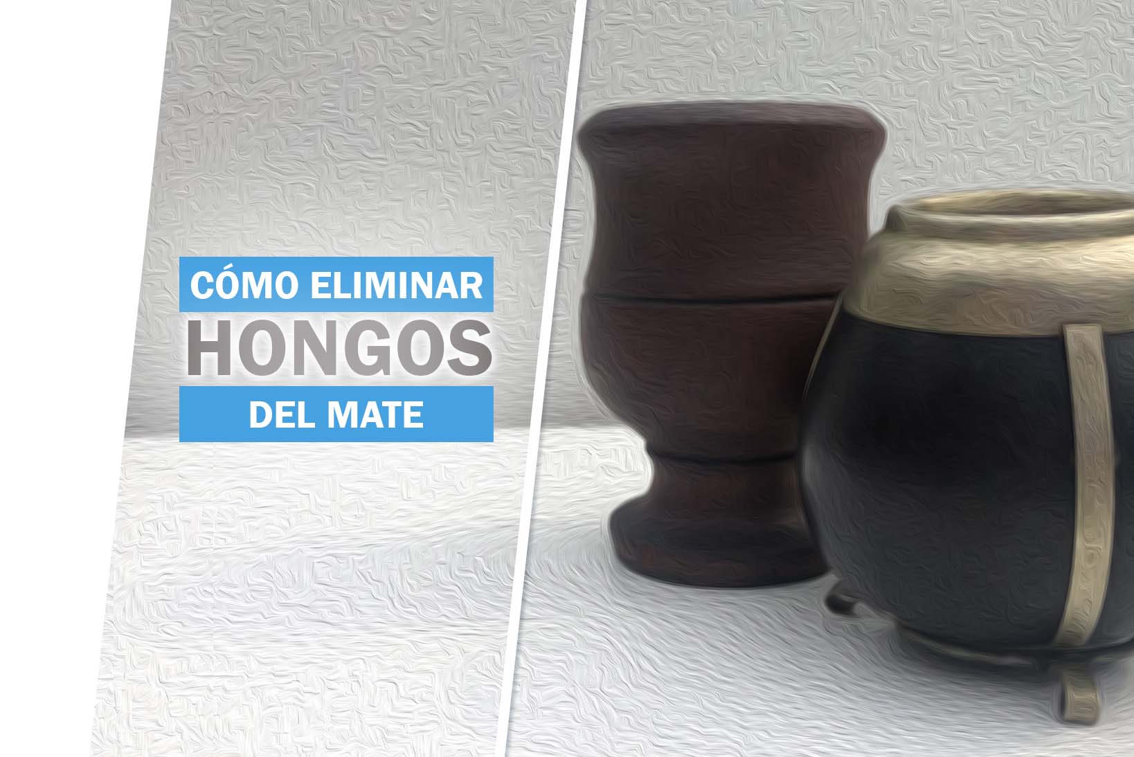 CÓMO PREVENIR Y SACAR LOS HONGOS DEL MATE